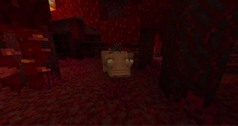 Todas las novedades de Minecraft Nether Update – Generacion Xbox