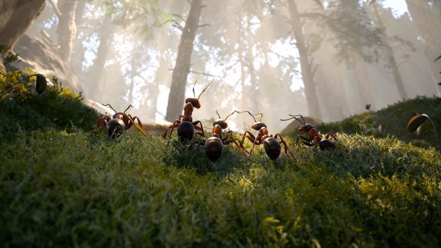 Análisis de Empire of the Ants – Estrategia en el peligroso mundo de ...