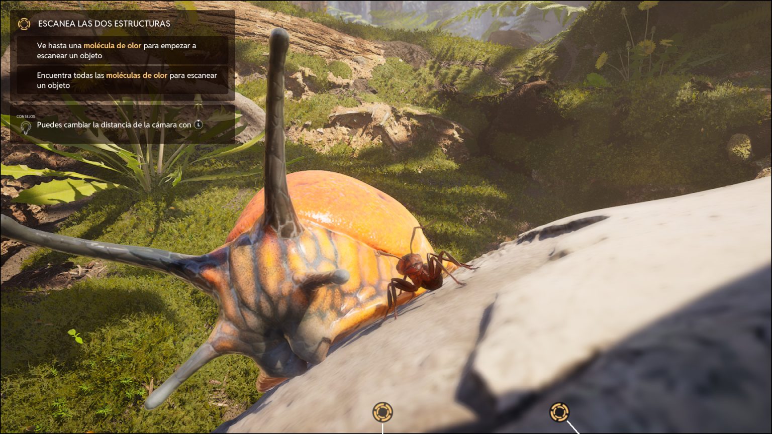 Análisis de Empire of the Ants – Estrategia en el peligroso mundo de ...